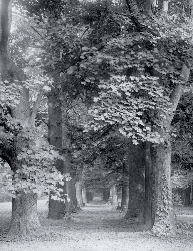 The du Pont Estates: More than Mansions