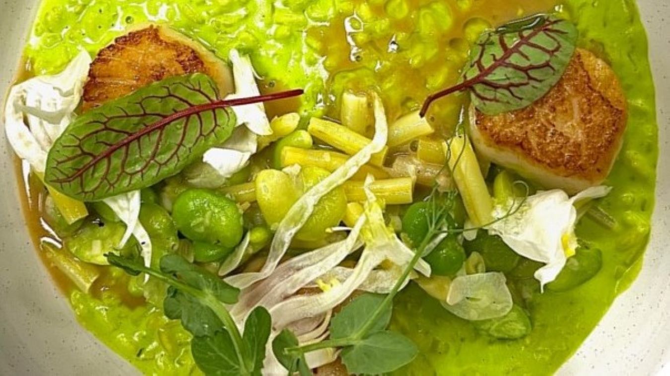 Seared Sea Scallops with Minted Spring Pea Risotto